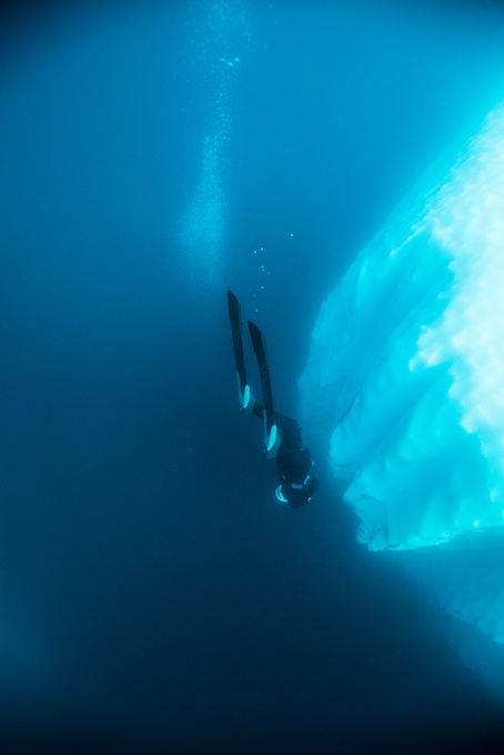 6 mars : la face cachée de l’iceberg – L'Âme Bleue